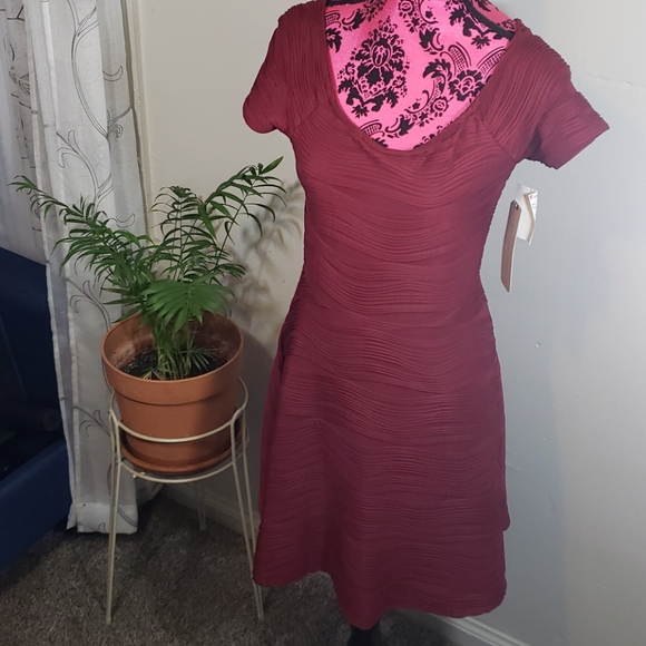 Almost Famous | Dresses | 3 For 35 Nwt Almost Famous Maroon Stretch ...